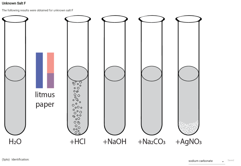 Solved Key: = colorless = solid = bubbles Unknown Salt F | Chegg.com