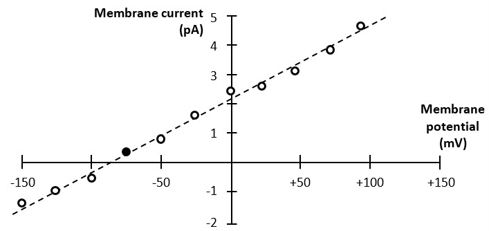 Solved In the laboratory, you are recording from an | Chegg.com