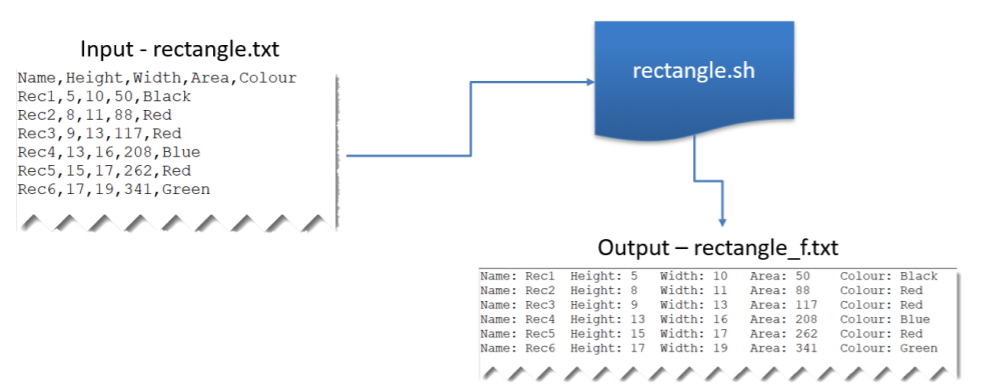 Solved Write a bash script called rectangle.sh that will | Chegg.com