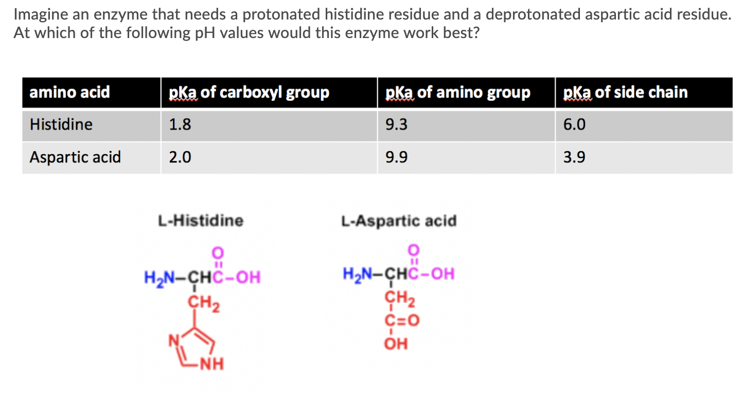 Solved Imagine an enzyme that needs a protonated histidine | Chegg.com