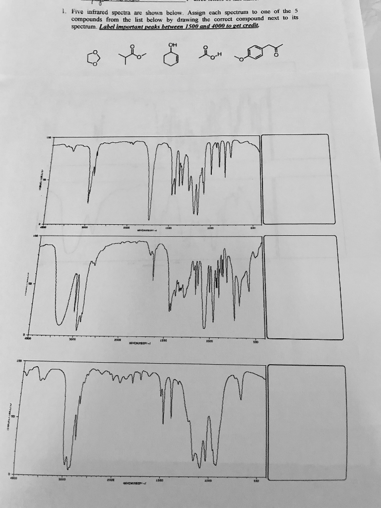 Solved 1. Five infrared spectra are shown below. Assign each | Chegg.com