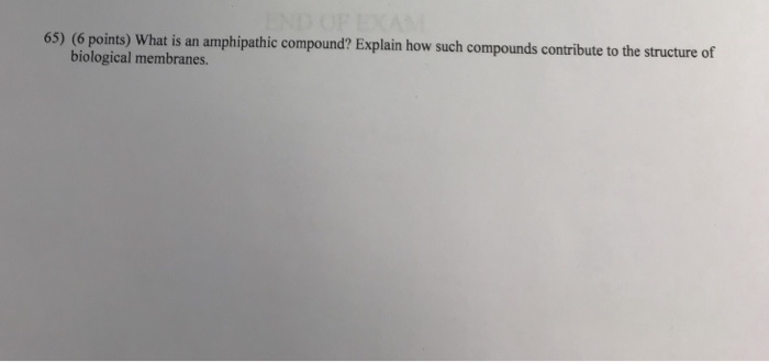Solved 65) (6 points) What is an amphipathic compound? | Chegg.com