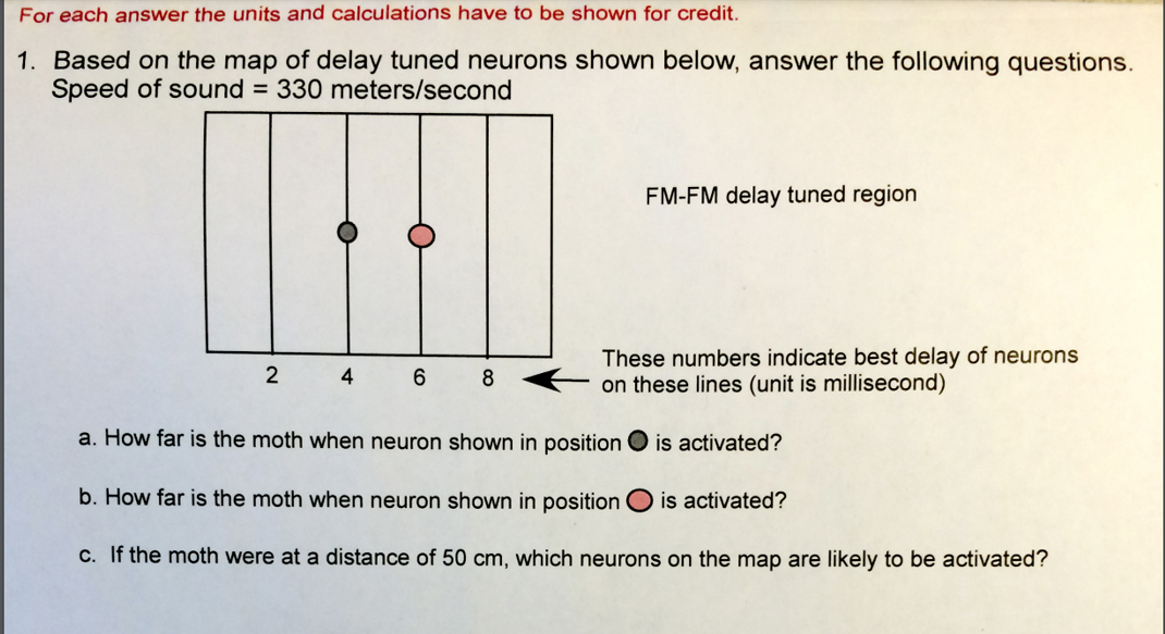 Solved 1. Based on the map of delay tuned neurons shown | Chegg.com