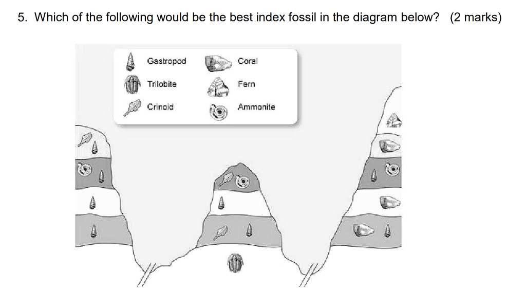 Index Fossil Chart