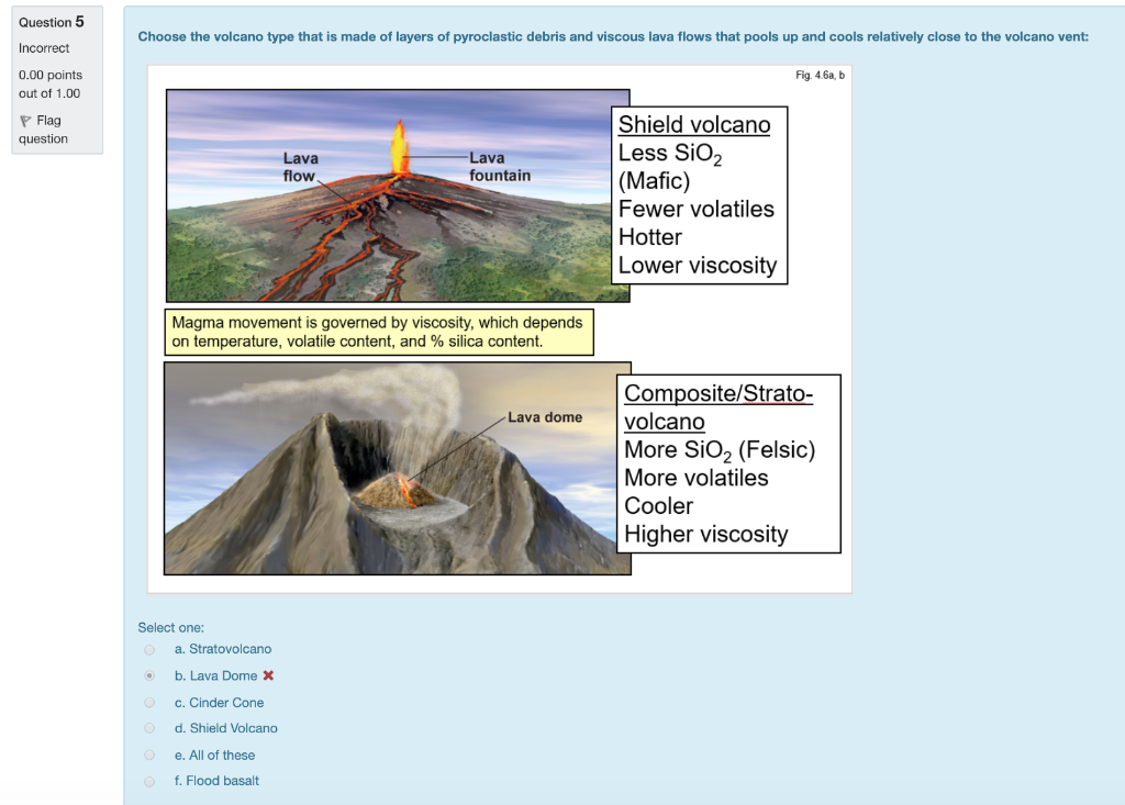 Solved Question 11 Incorrect 0.00 points out of 1.00 | Chegg.com
