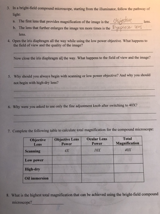 Compound Light Microscope Low Power Objective Magnification | Shelly Lighting