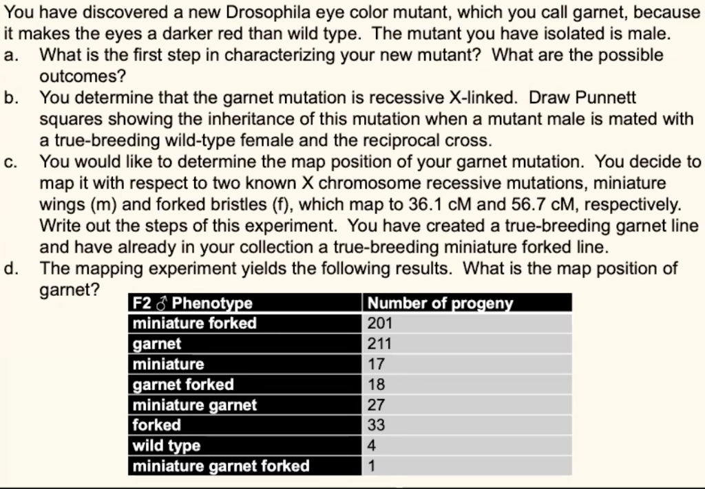 Solved You have discovered a new Drosophila eye color | Chegg.com