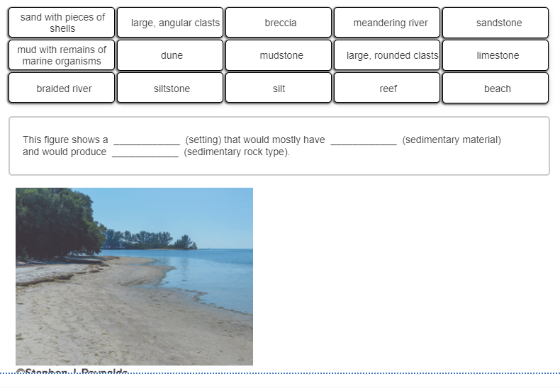 Solved sand with pieces of shells large, angular clasts | Chegg.com