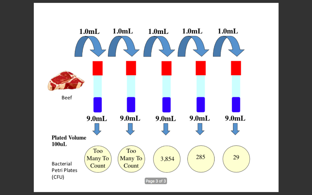 Solved Please read the passage; I have calculated the CFU/ml | Chegg.com