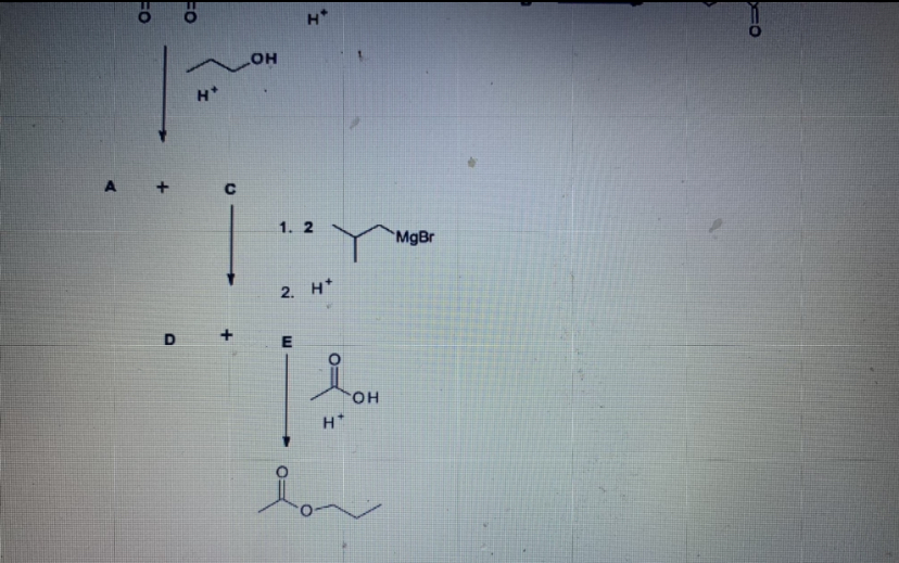 Solved Hello I need help I was able to do the top portion | Chegg.com