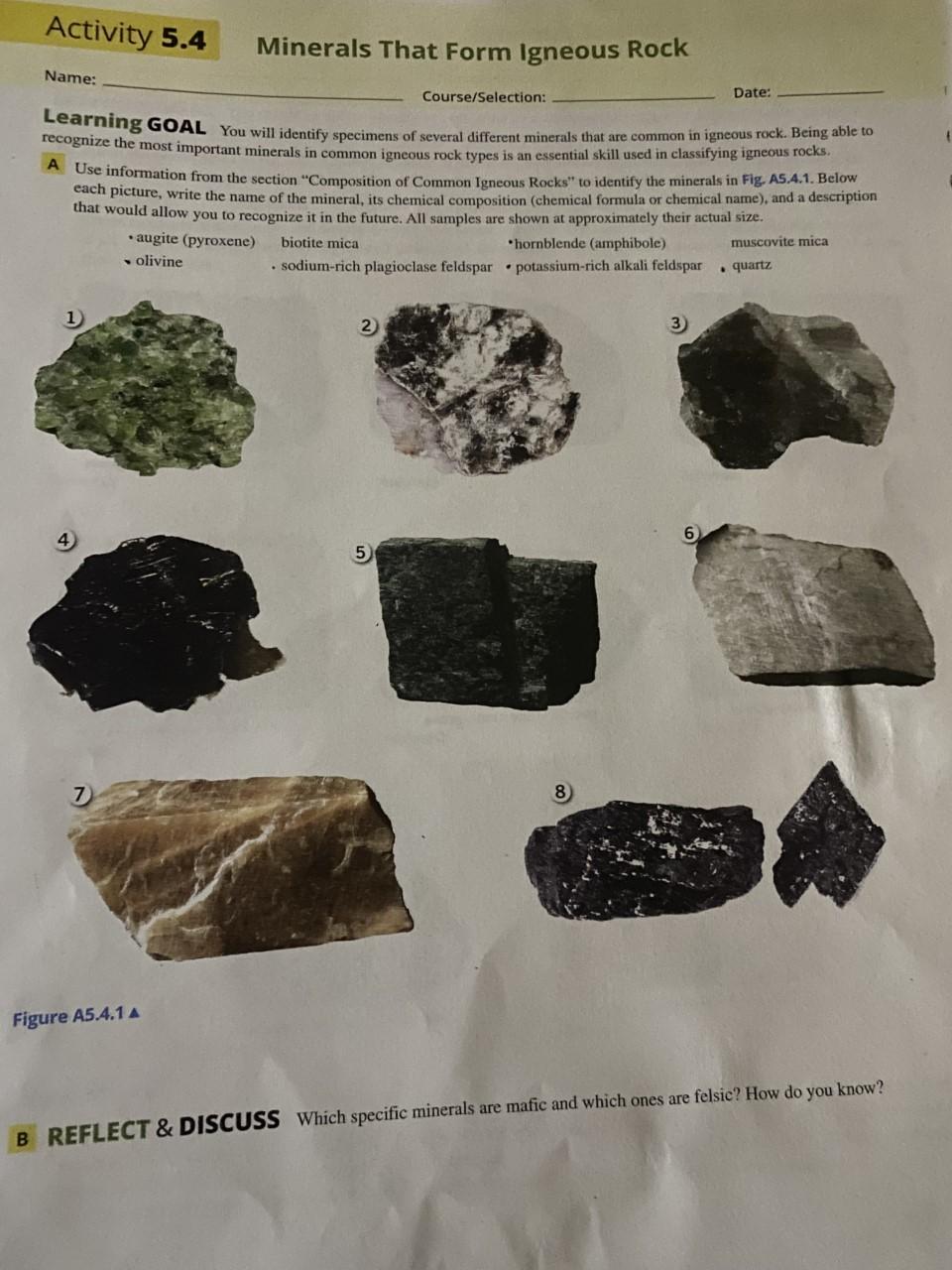 Solved Learning GOAL You will identify specimens of several | Chegg.com