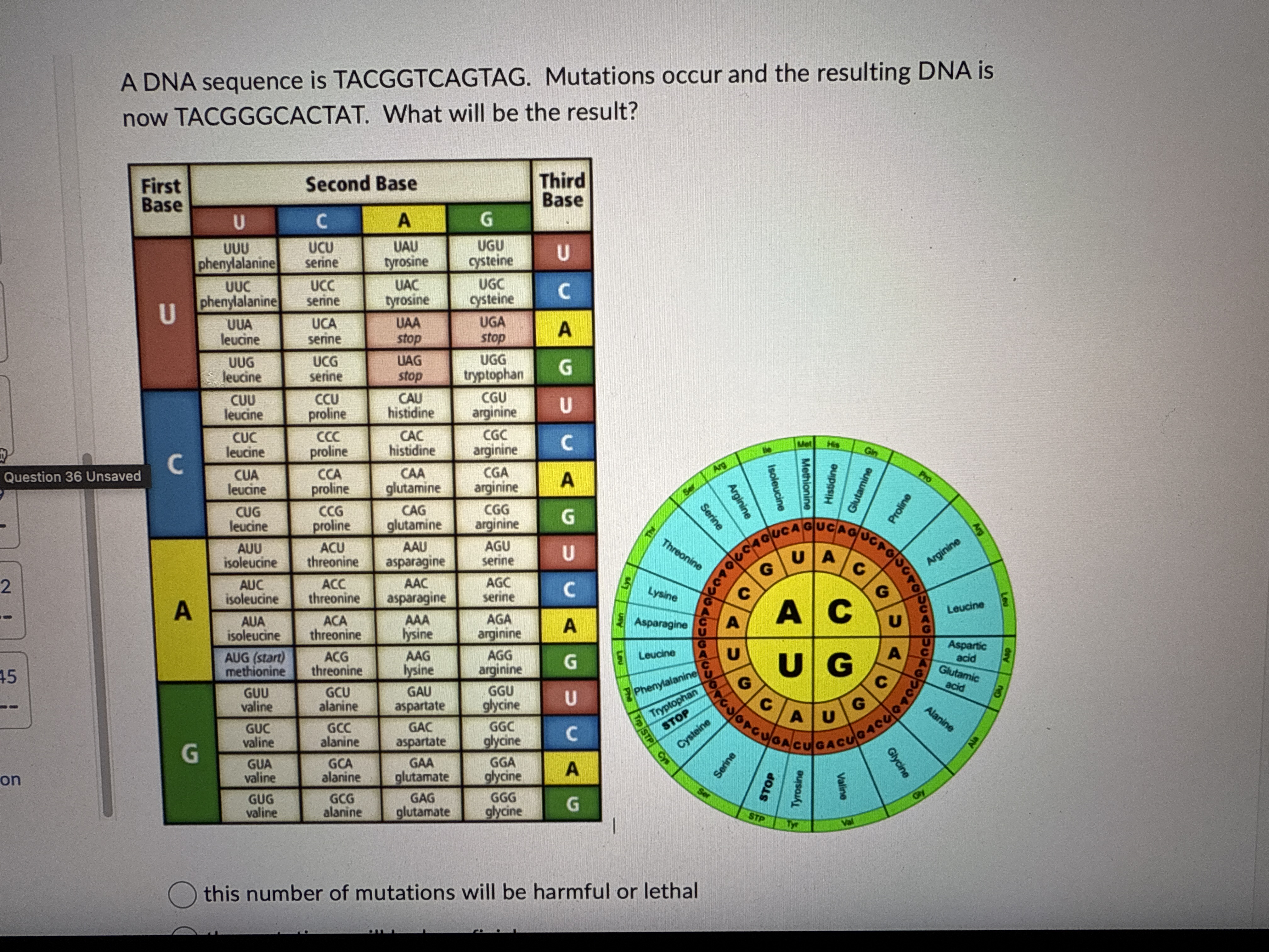 Solved A DNA sequence is TACGGTCAGTAG mutations occur in the | Chegg.com