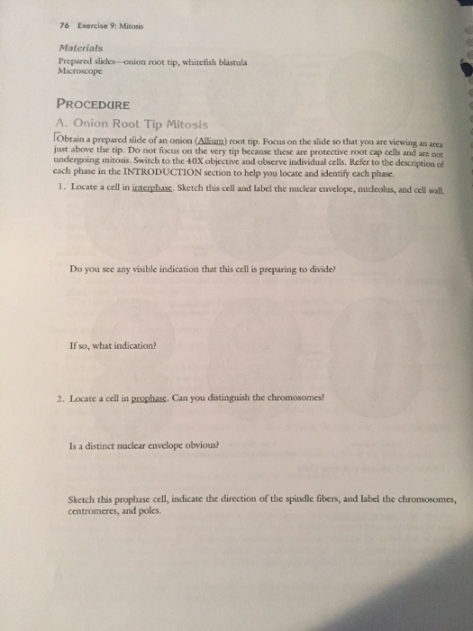 Solved 76 Exercise 9: Mitosis Materials Prepared slides | Chegg.com