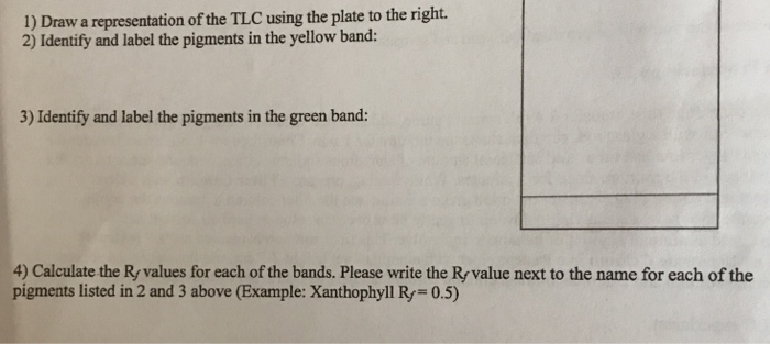 1) Draw a representation of the TLC using the plate | Chegg.com