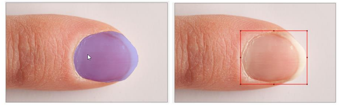 Solved design an "image detection method" to automatically | Chegg.com