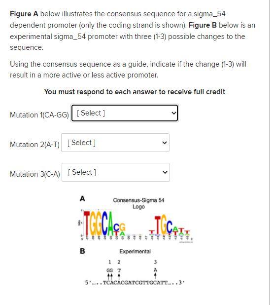 Solved Figure A below illustrates the consensus sequence for | Chegg.com