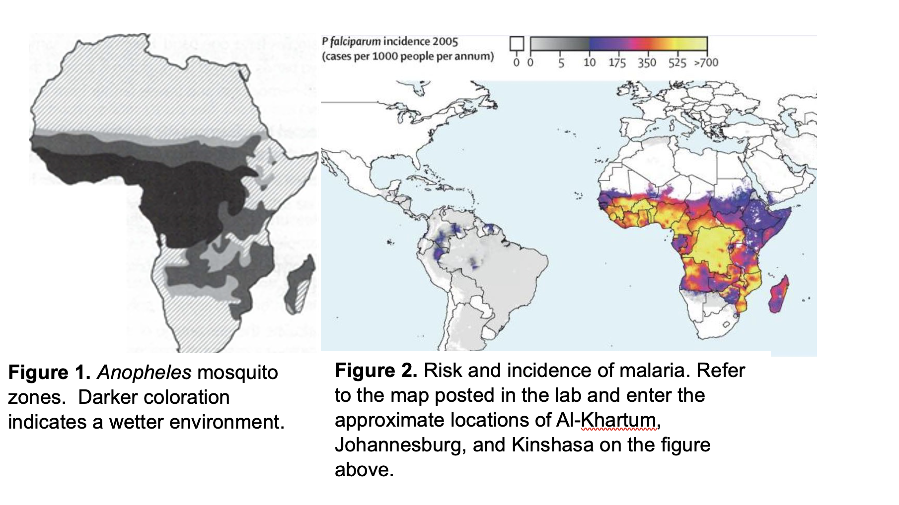 Anopheles Gambiae Distribution