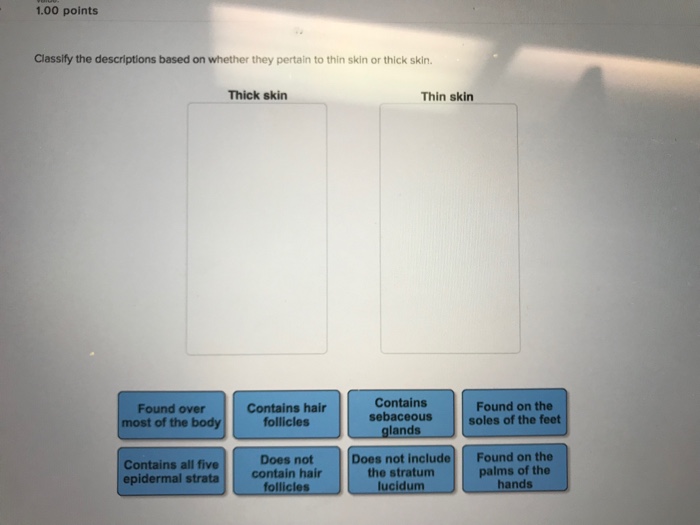 Solved Question 4 (of 10) value: 1.00 points Classify the | Chegg.com