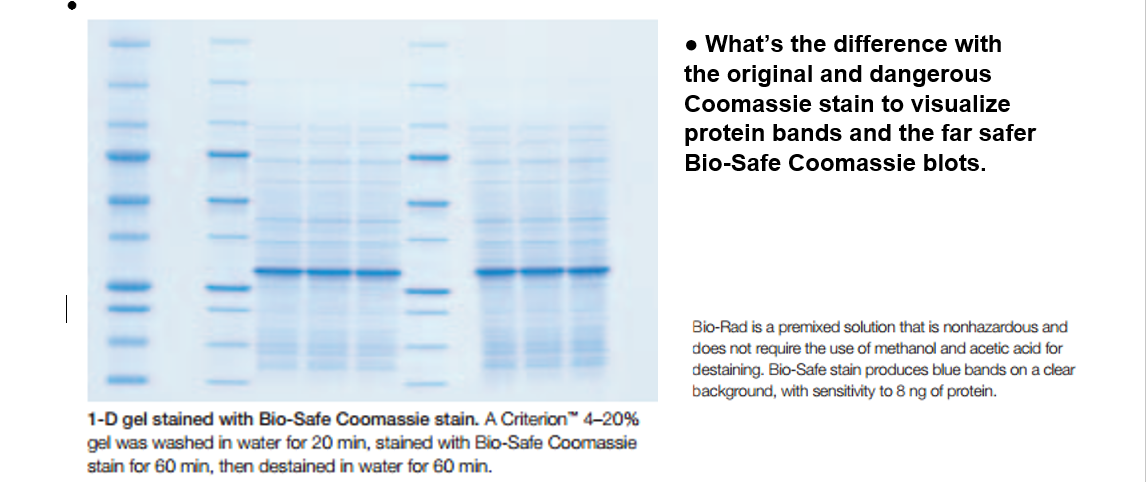 Solved • What's the difference with the original and | Chegg.com