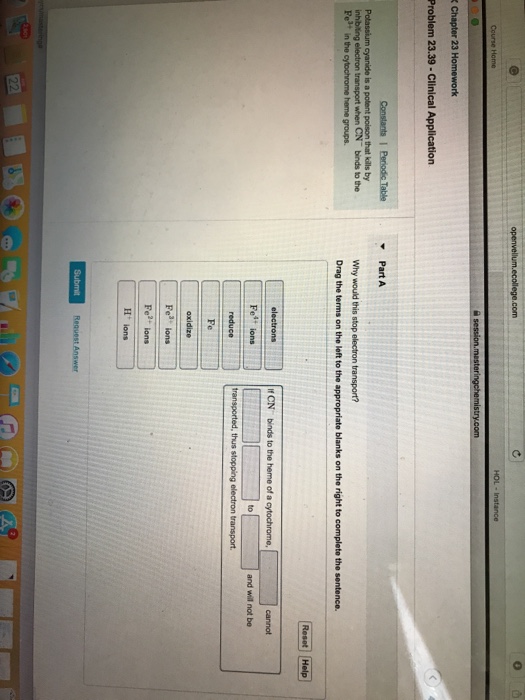Solved Chapter 23 inhblting to | Chegg.com