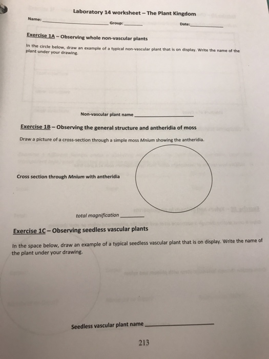 Laboratory 14 worksheet The Plant Kingdom Name: | Chegg.com