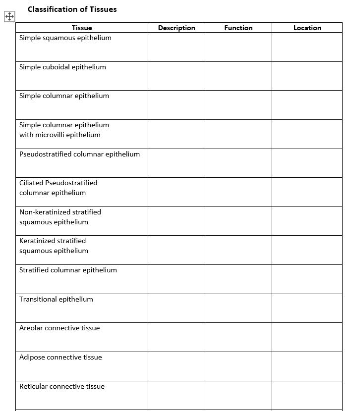Classification Of Tissues Worksheet