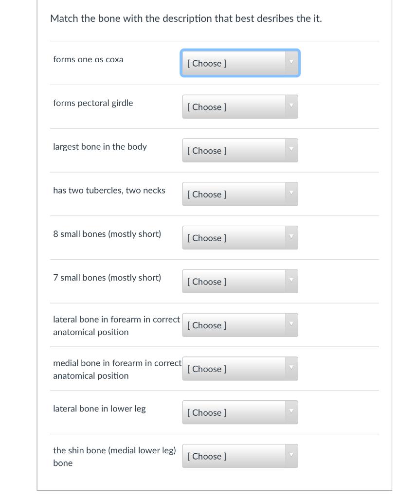 Solved Match the bone with the description that best | Chegg.com