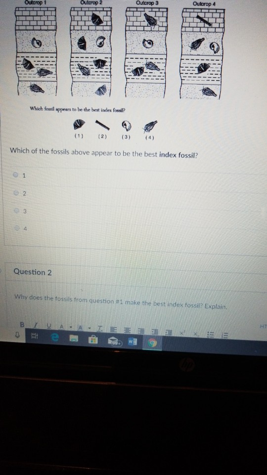 Solved outcrop3T Outcrop 4 Outcrop 1 Outcrop 2 Which fossil | Chegg.com