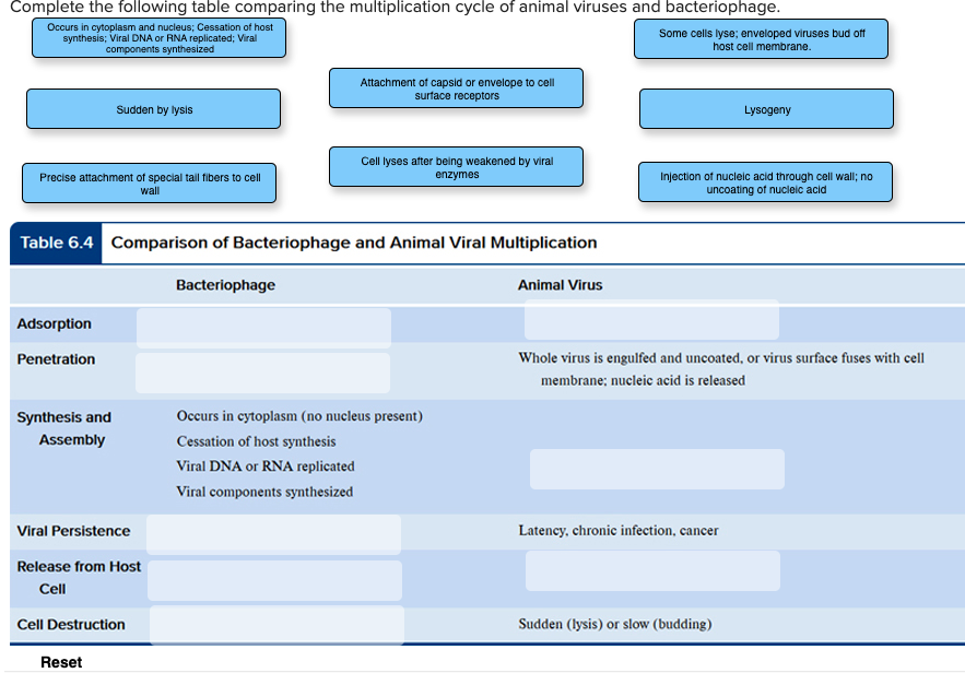 Solved Complete the following table comparing the | Chegg.com