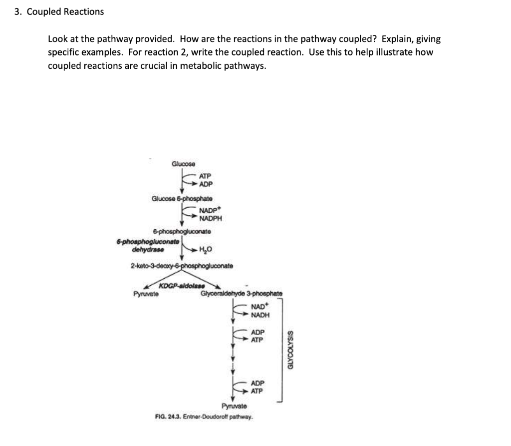 Solved Look at the pathway provided. How are the reactions | Chegg.com