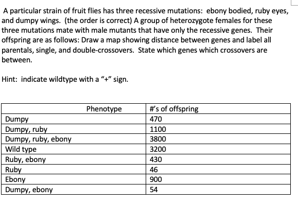 Solved A particular strain of fruit flies has three | Chegg.com