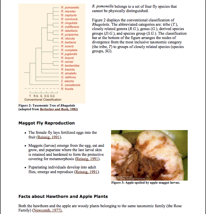 Solved Hawthorn trees grow throughout North America and they | Chegg.com