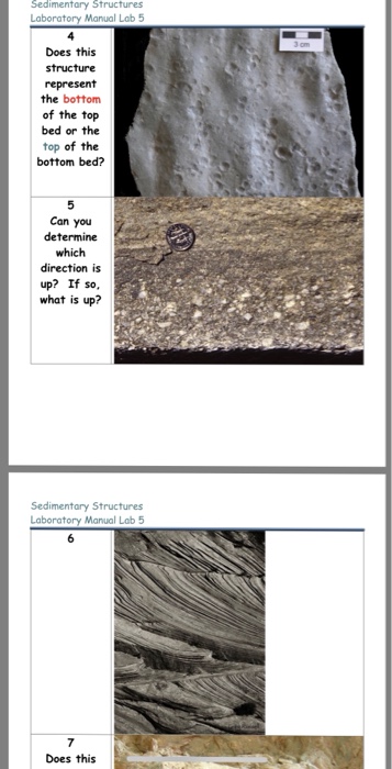 Solved LAB EXERCISES Using the sedimentary structures | Chegg.com