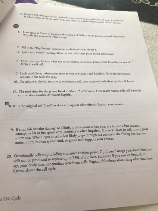 Solved 10. Imagine 100 cells were chosen randomly from a | Chegg.com