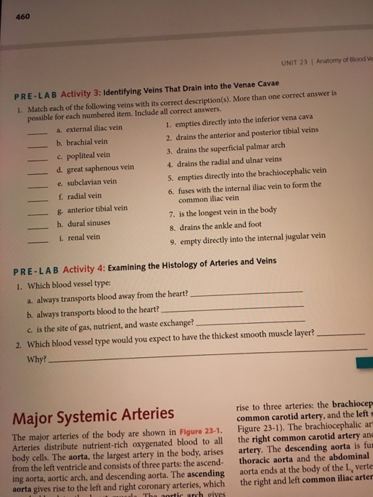 Solved 460 UNIT 23 1 Anatomy of Blood Ve PRE-LAB Activity 3: | Chegg.com