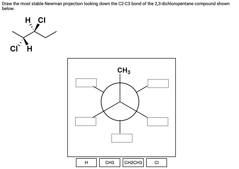 Solved Draw the most stable Newman projection looking down | Chegg.com