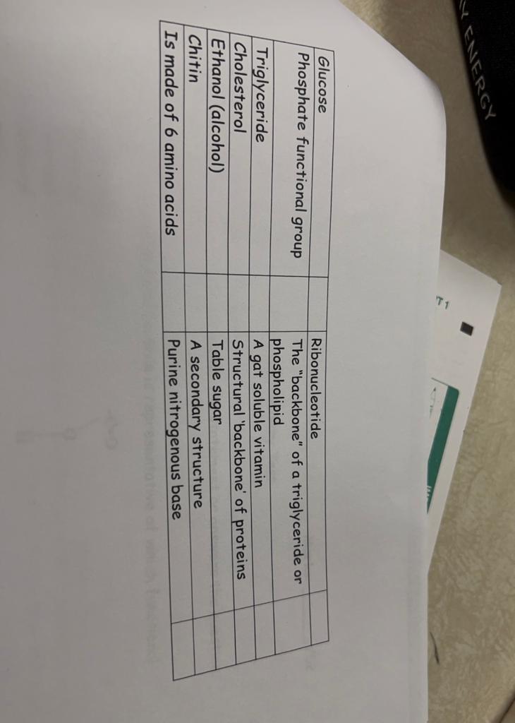 Solved 24. Match the picture to the description, \( | Chegg.com