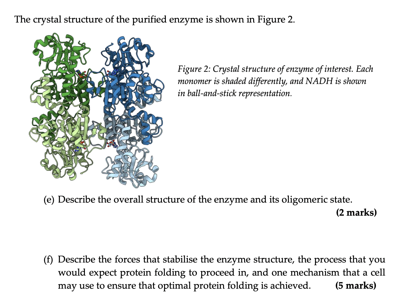 Solved The crystal structure of the purified enzyme is shown | Chegg.com