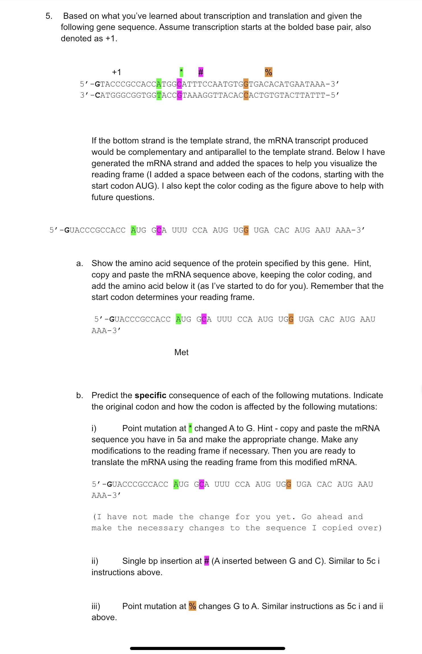 Solved 5. Based on what you've learned about transcription | Chegg.com