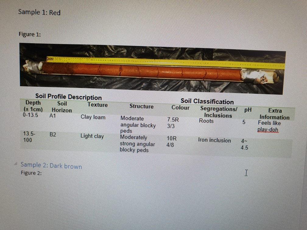 Solved Sample 1: Red Figure 1: Soil Classification Soil | Chegg.com