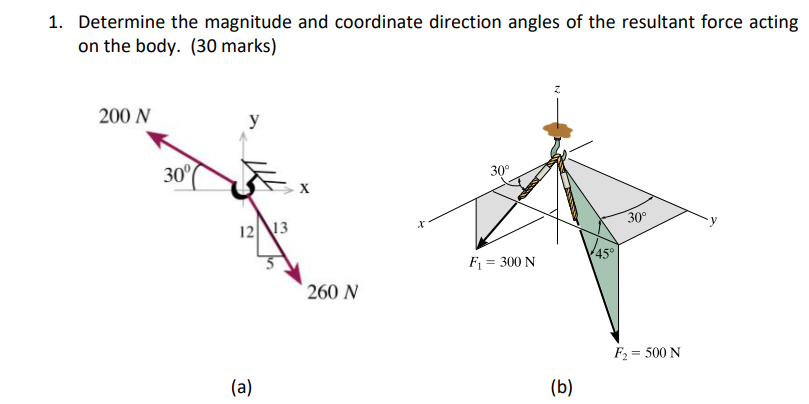 Solved by an EXPERT Determine the magnitude and coordinate direction | Chegg.com