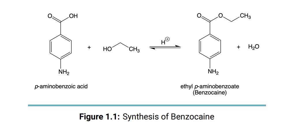 Solved What is the balanced equation for the synthesis of | Chegg.com
