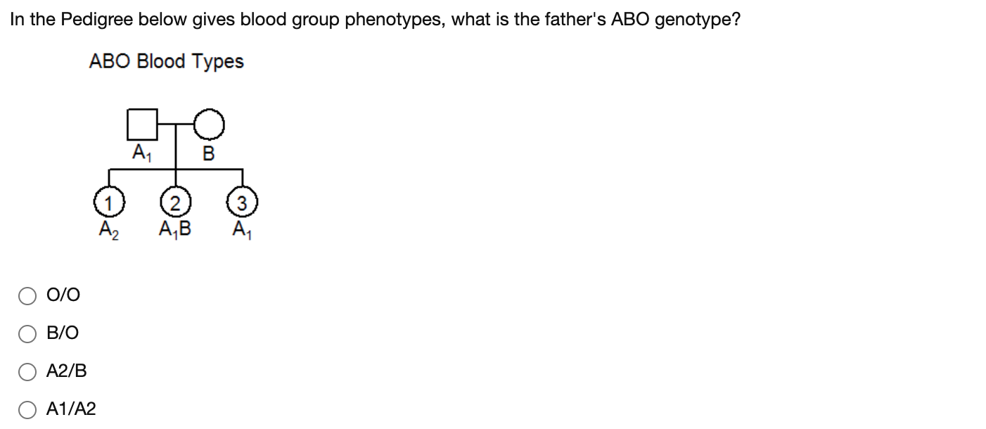 Solved In the Pedigree below gives blood group phenotypes, | Chegg.com