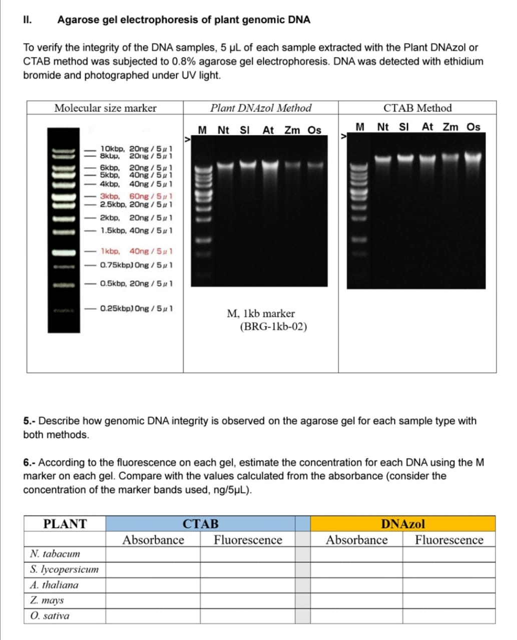 Subject: CATB Method / Plant DNAzol / Agarose | Chegg.com