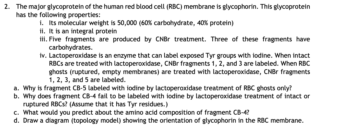 2. The major glycoprotein of the human red blood cell | Chegg.com