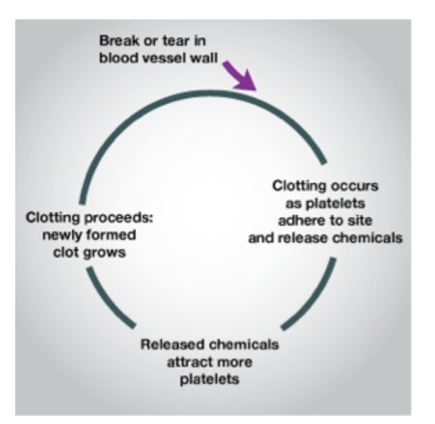 Solved Any help would be much appreciated! 1. The following | Chegg.com