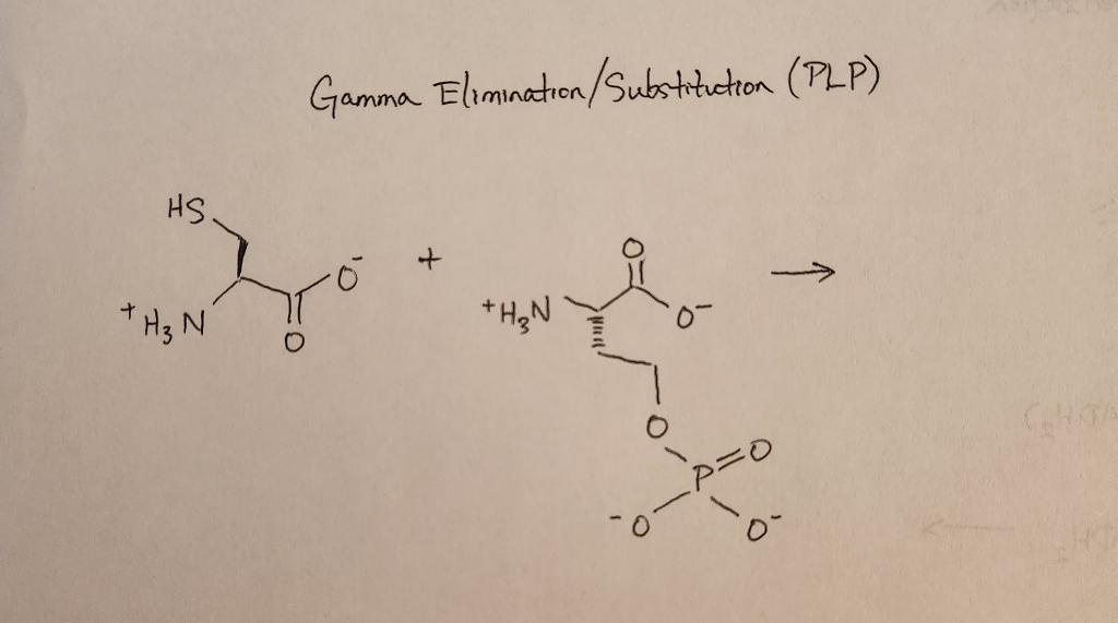 Solved Gamma Eliminationsubstitution Plp 8563