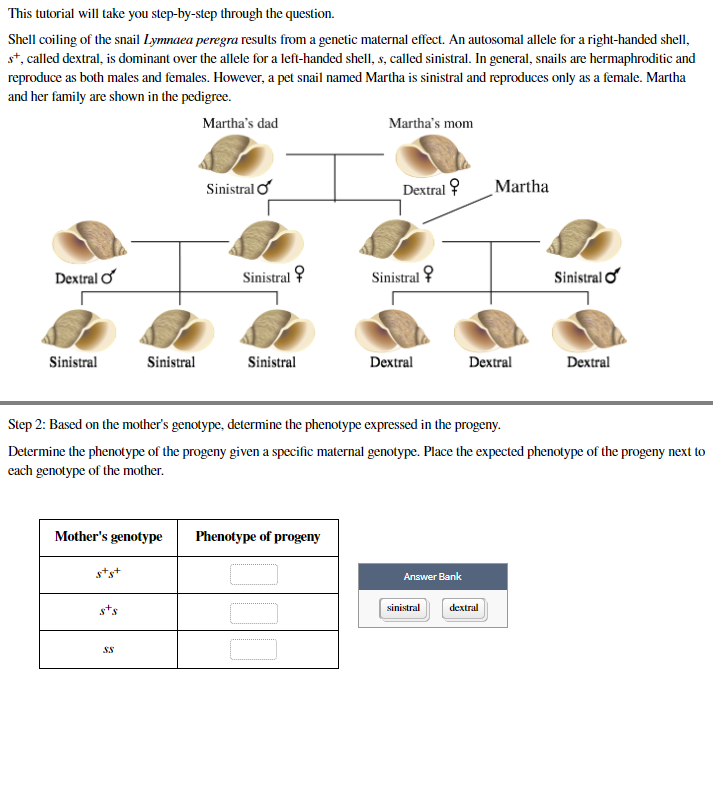 Solved This tutorial will take you step-by-step through the | Chegg.com
