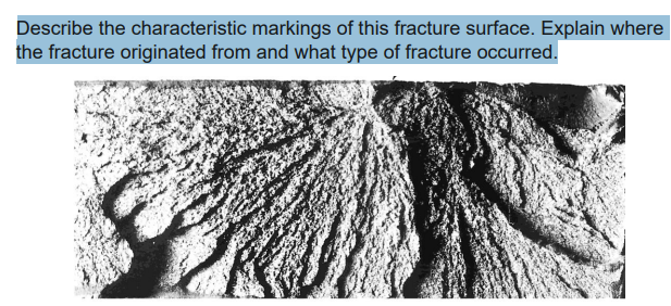 Describe the characteristic markings of this fracture | Chegg.com