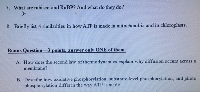 Solved What are rubisco and RuBP? And what do they do? | Chegg.com